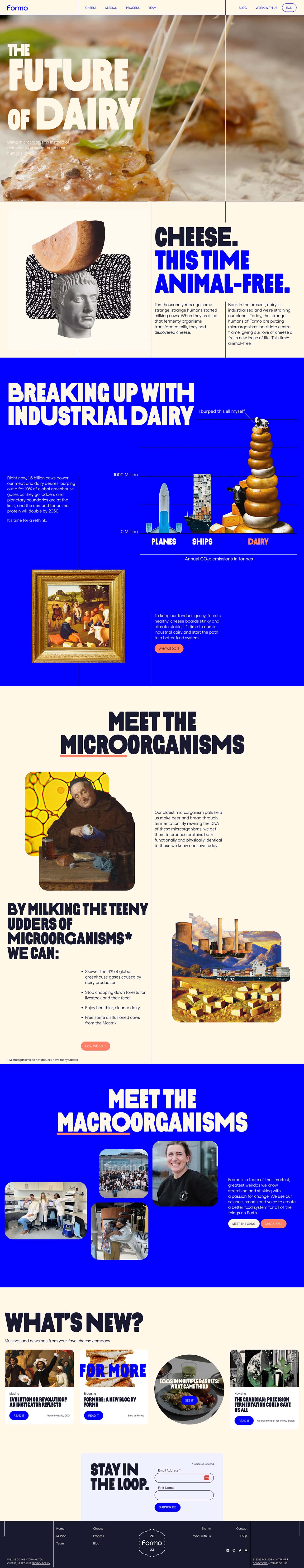 Formo - WordPress website built using Custom Theme